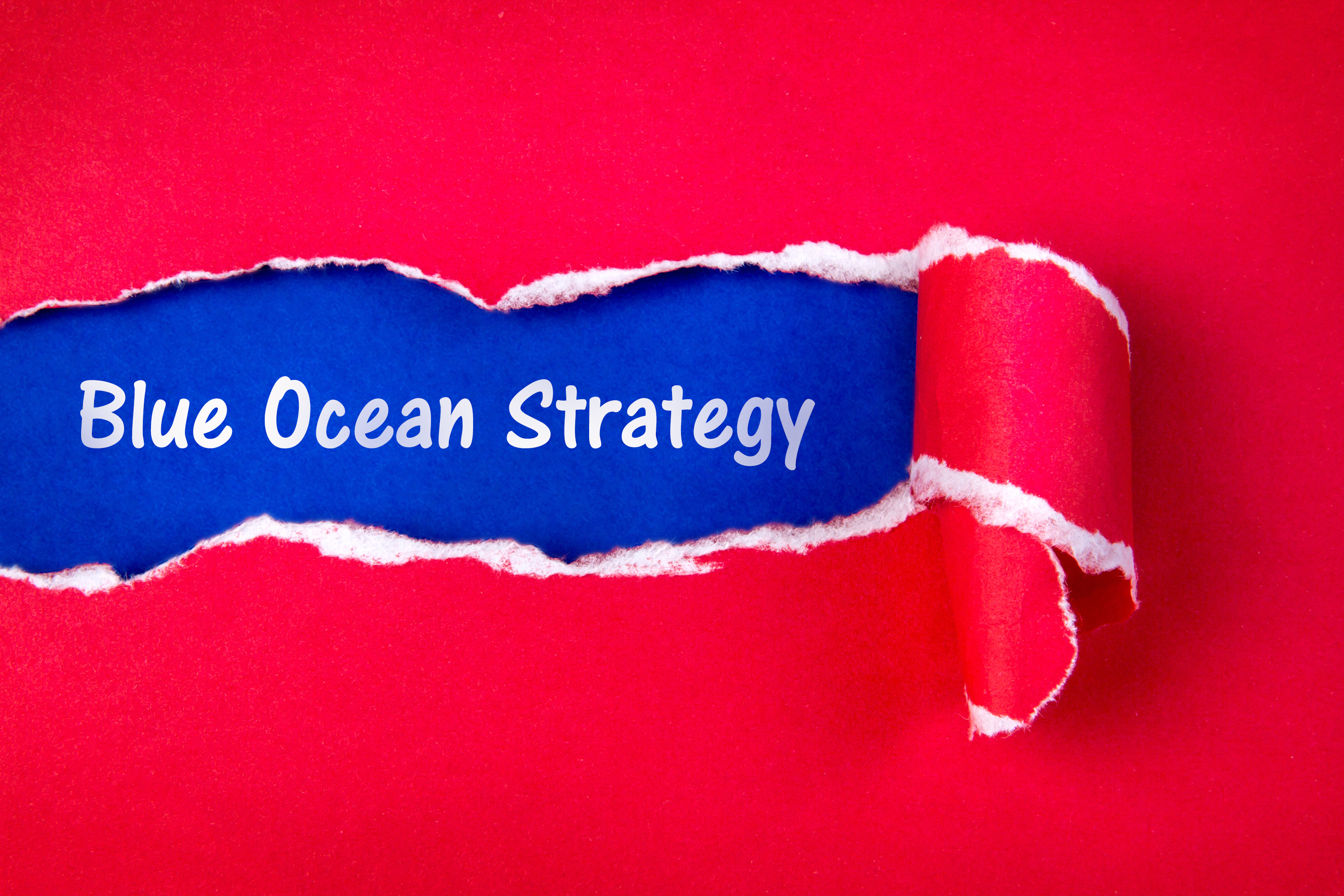 How to make a blue ocean strategy profitable? | EDC Paris